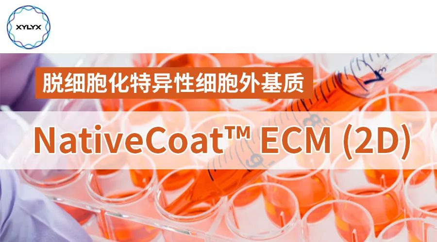 脱细胞化特异性细胞外基质——NativeCoat™ ECM (2D) - 广州妙博生物技术有限公司企业官网